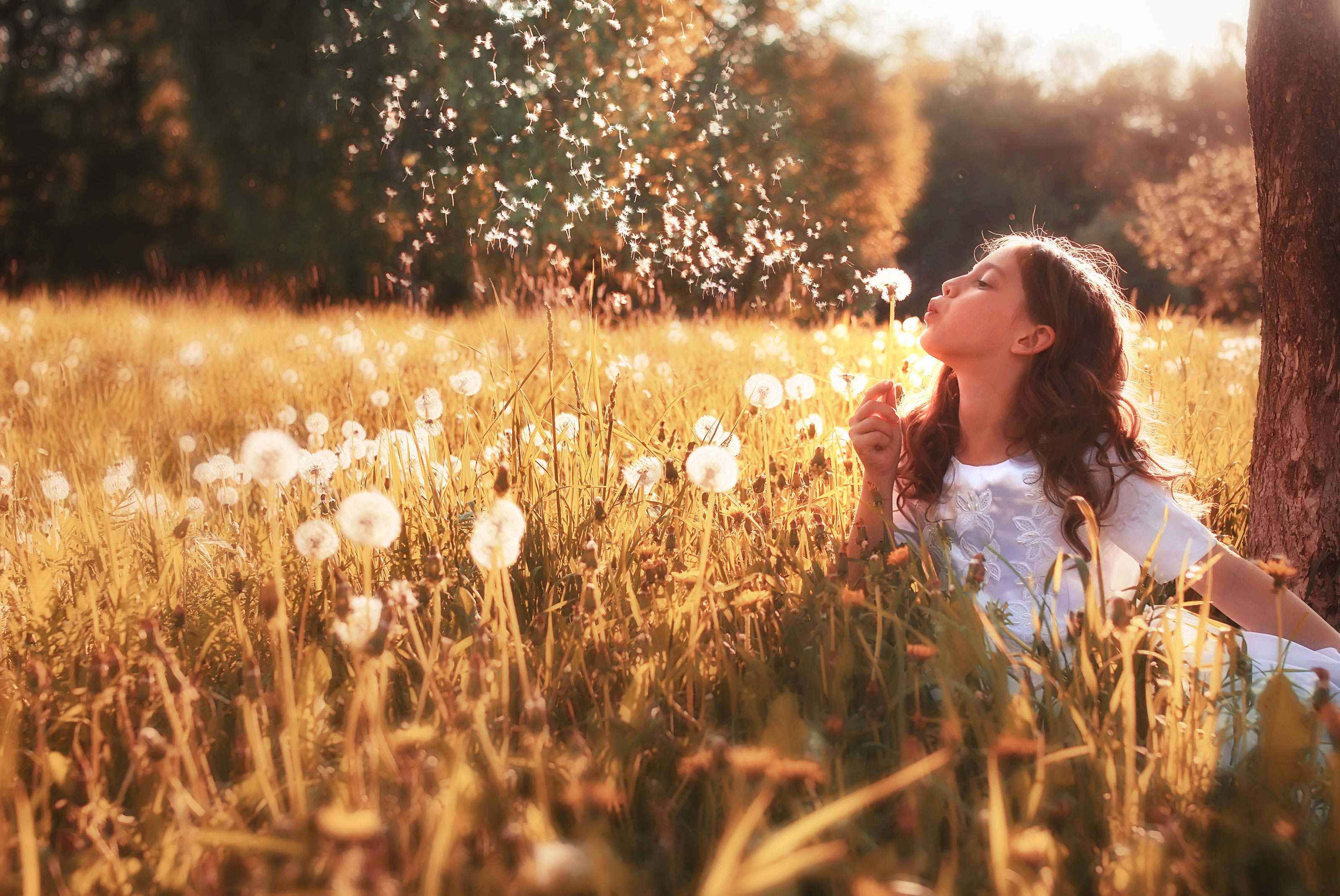 Reimagining long-term care: radical or common sense? | Conconi Family ...